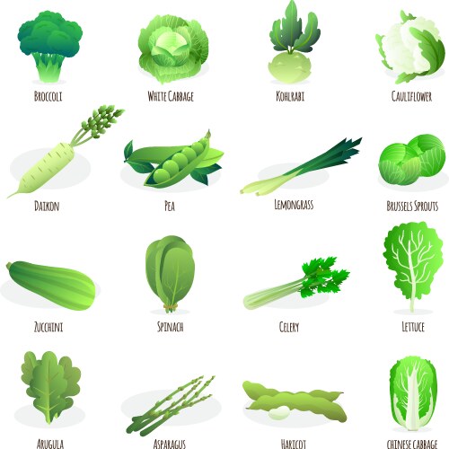Vegetables set Royalty Free Vector Image - VectorStock