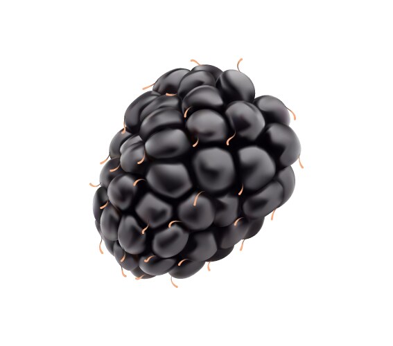 Ripe Vector Images (over 320,000)