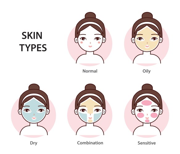 Skin Types Vector Images (over 3,900)
