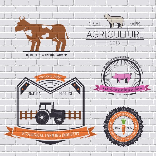 Certificate Template Animal Vector Images (over 1,100)