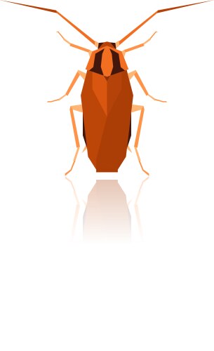 Cockroach Royalty Free Vector Image - VectorStock