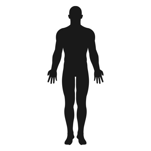 Human body icon outline Royalty Free Vector Image