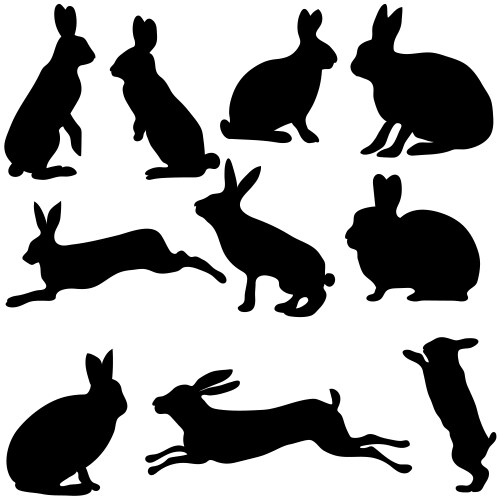 Dancing rabbit silhouette Royalty Free Vector Image