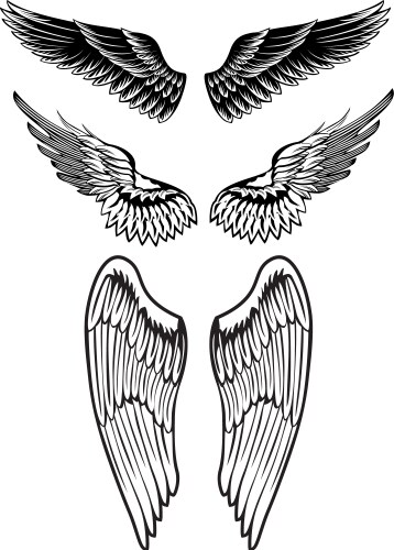 Wings Royalty Free Vector Image - VectorStock