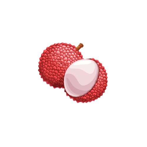 Lychee Vector Images (over 3,600)