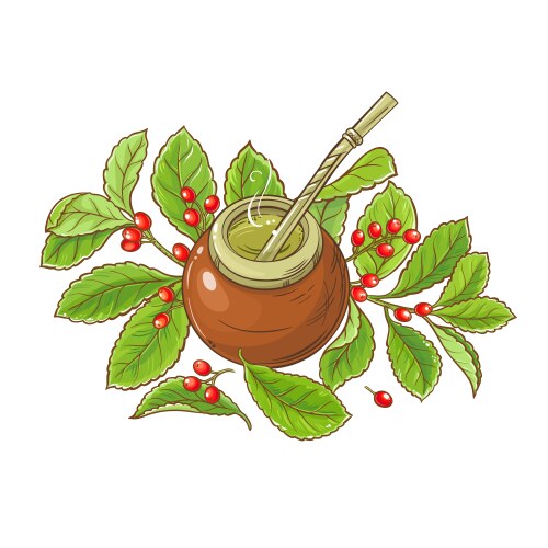 Yerba mate frame Royalty Free Vector Image - VectorStock
