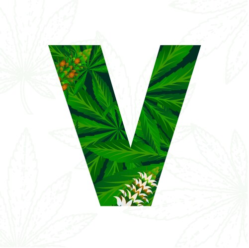 Letter with cannabis leaf for logo design Vector Image