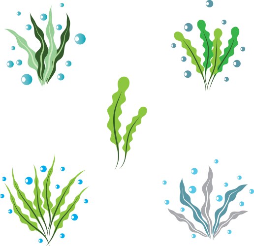 Seaweed Cartoon Vector Images (over 18,000)