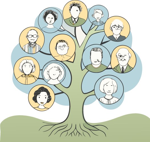 Family tree Royalty Free Vector Image - VectorStock