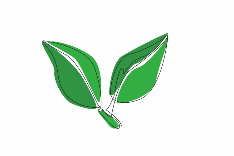 Single Leaf Vector Images (over 51,000)