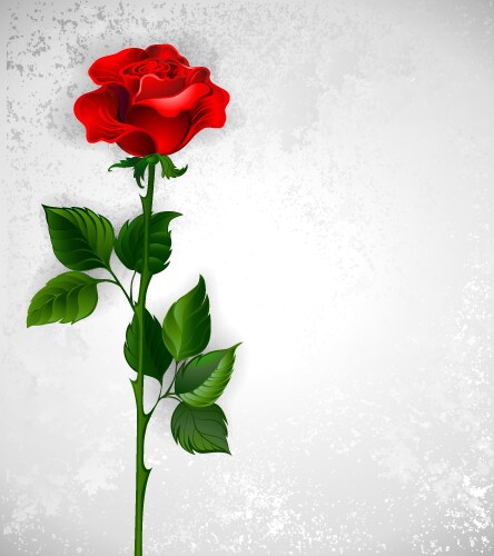 Rose Vector Images (over 310,000)