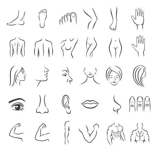 Human Body Outline Vector Images (over 47,000)