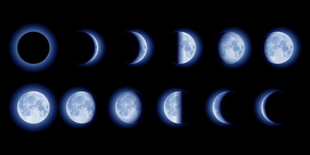 Crescent moon phases at night sky sequence frame Vector Image