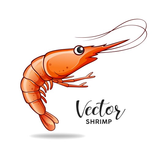 Realistic shrimp set isolated on white background Vector Image