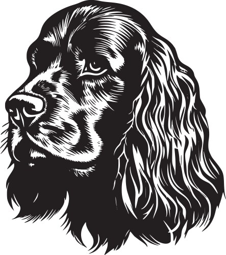 Cocker spaniel - black and white isolated icon Vector Image