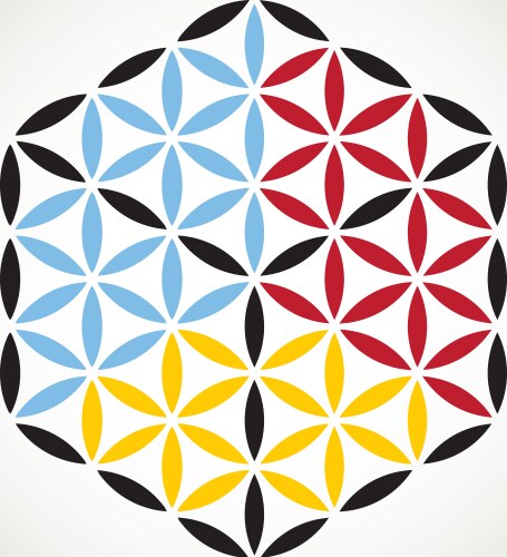 Symbol flower of life Royalty Free Vector Image