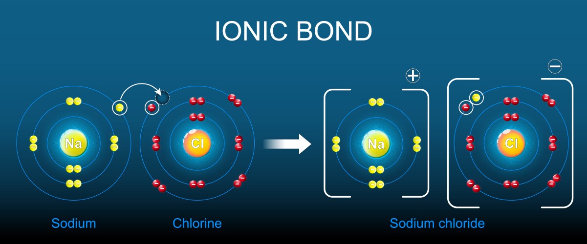 Covalent Bond Formation: Hydrogen Chloride Vector Image
