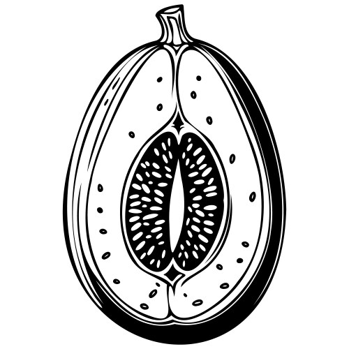 Horned melon monochrome outline drawing realistic Vector Image