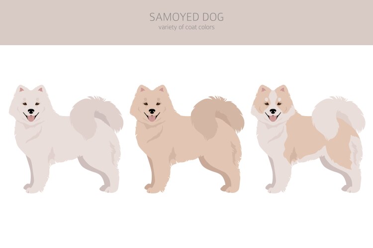 Sami Vector Images (over 150)