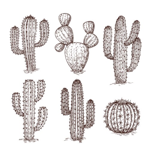Cactus Sketch Vector Images (over 8,400)