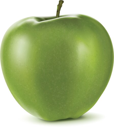 Apple Royalty Free Vector Image - VectorStock