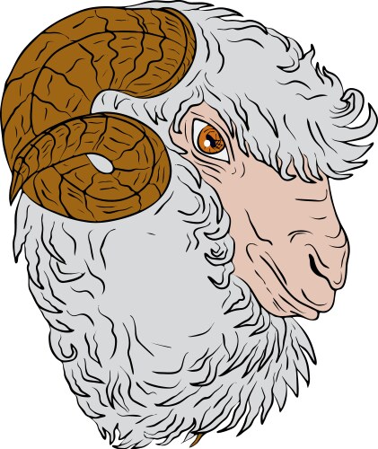Merino Ram Vector Images (über 350)