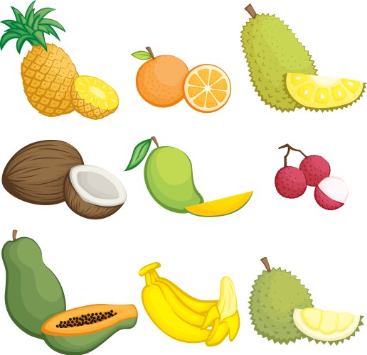 Highly detailed fruits icons set Royalty Free Vector Image