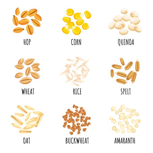 Seeds Cartoon Vector Images (over 46,000)