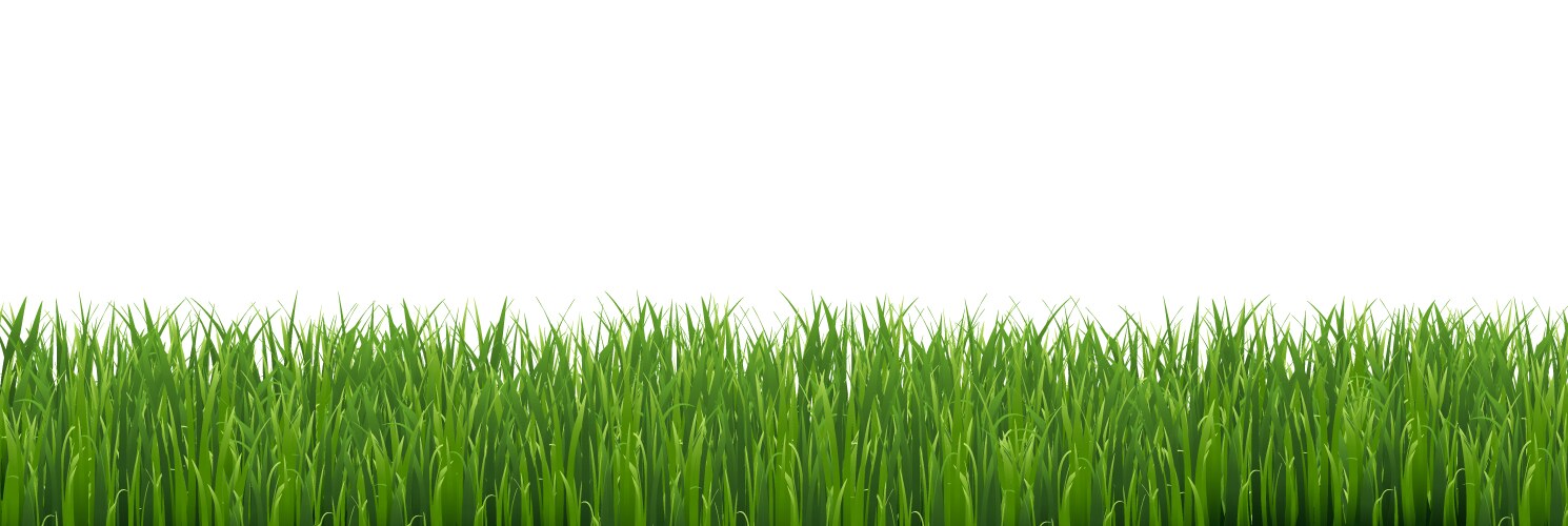 Green grass border and isolated white background Vector Image