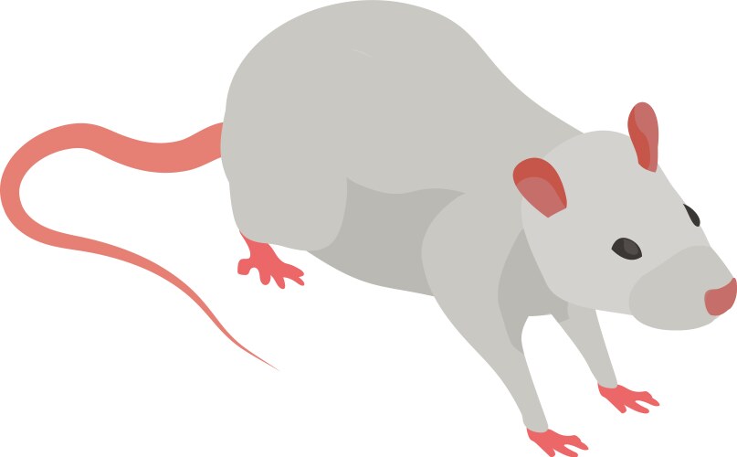 Rat Vector Images (over 33,000)