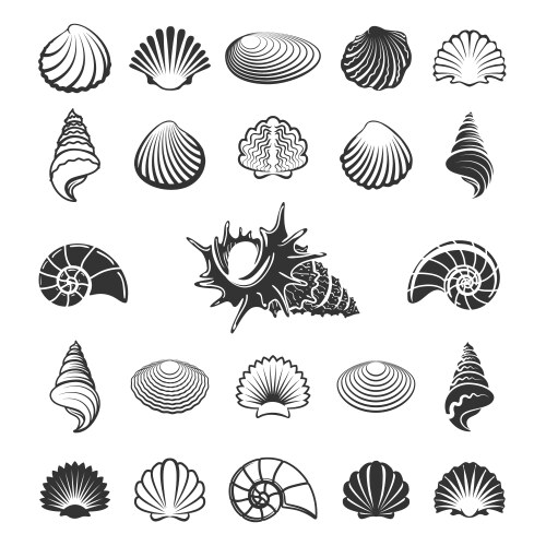 Sea Shell Vector Images (over 70,000)