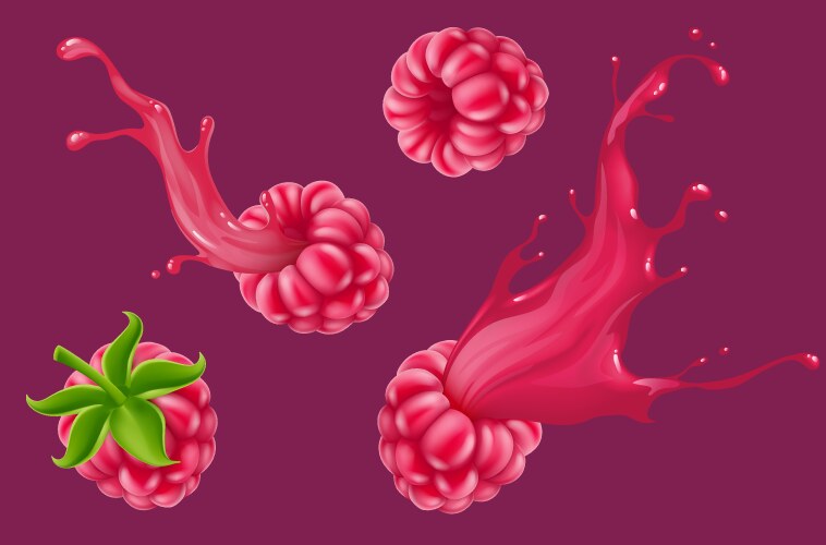 Juice splash sign Royalty Free Vector Image - VectorStock