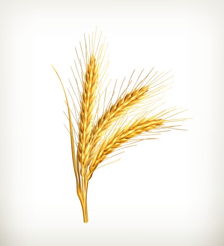 Wheat Vector Images (over 130,000)