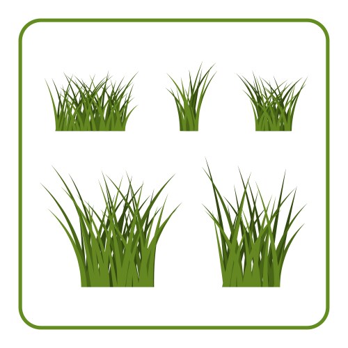 Grass patches Royalty Free Vector Image - VectorStock
