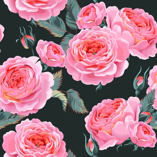 English roses seamless Royalty Free Vector Image
