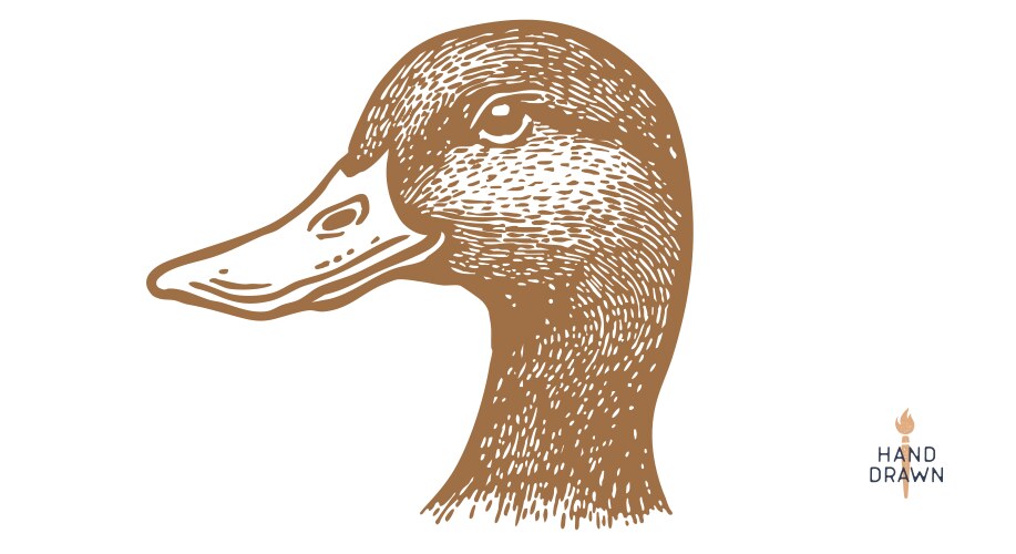 Duck Side View Vector Images (over 250)