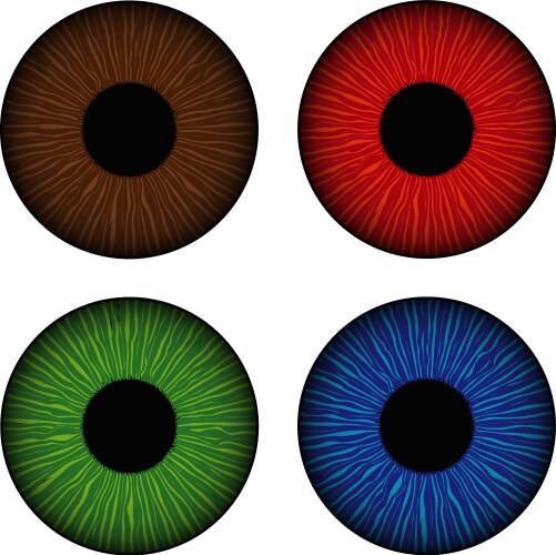 Eye iris texture Royalty Free Vector Image - VectorStock