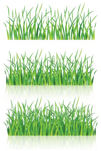 Grass Vector Images (over 360,000)