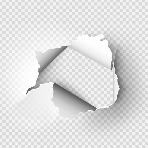 Torn ripped paper hole on transparent background Vector Image