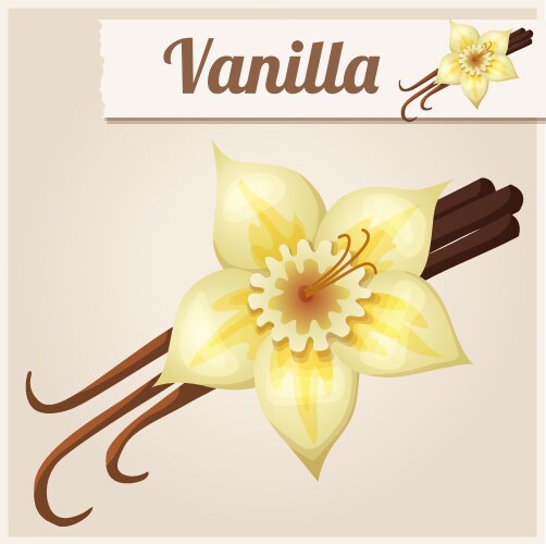 Vanilla icon cartoon style Royalty Free Vector Image