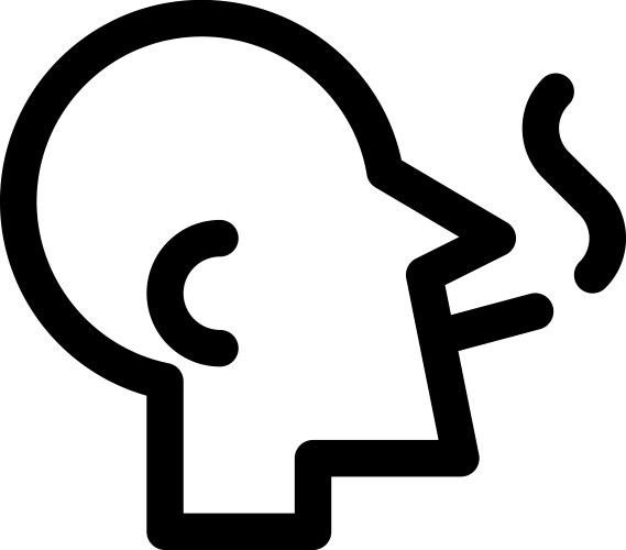 Cigars icon thin linear style design isolated Vector Image