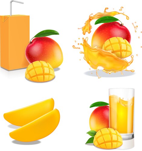 Mango juice splash realistic Royalty Free Vector Image