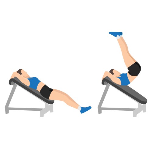 Woman doing decline reverse crunch exercise Vector Image