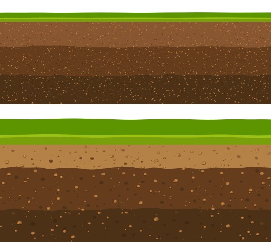 Structure of soil layers with grass on surface Vector Image