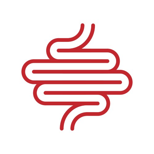 Digestion Vector Images (over 31,000)