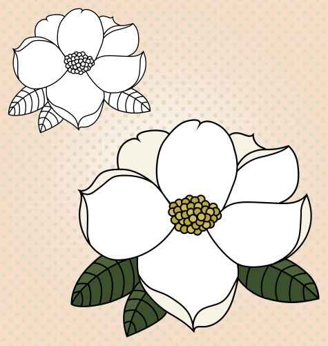 Magnolia Vector Images (over 7,700)
