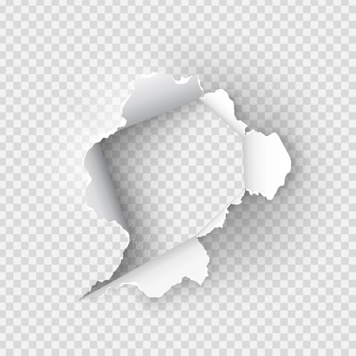 Torn ripped paper hole on transparent background Vector Image
