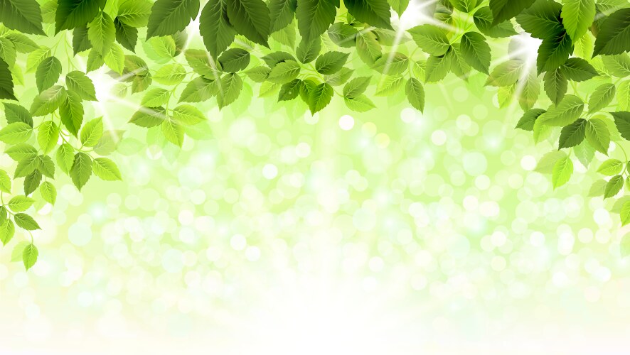Green Leaves Vector Wallpaper