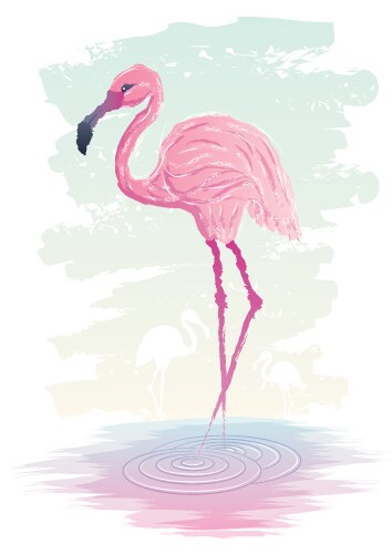 Flamingo Vector Images (over 32,000)