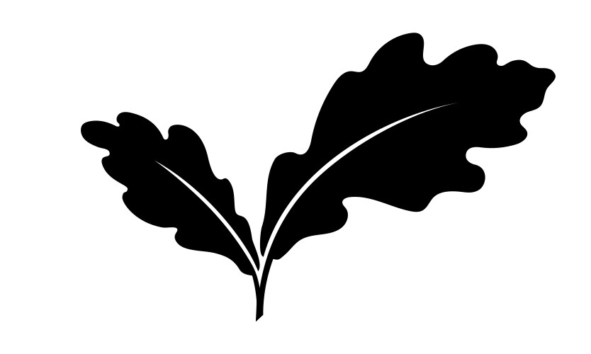 Oak Leaf Vector Images (over 49,000)